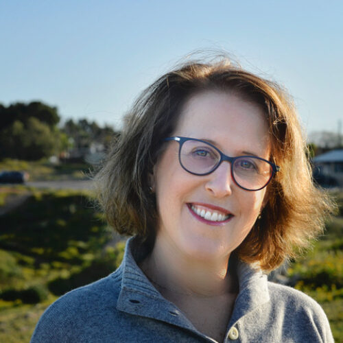 Radicle: An Interview with Jennifer Lang - The Maine Review